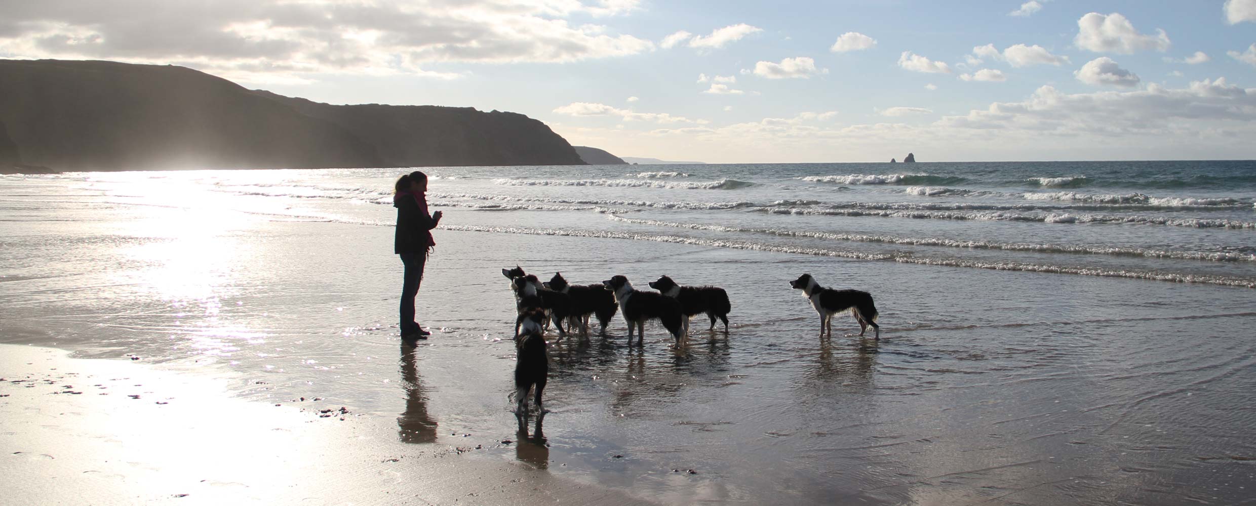 Alison Roets and her Freyasway Border Collie puppies in Reading
