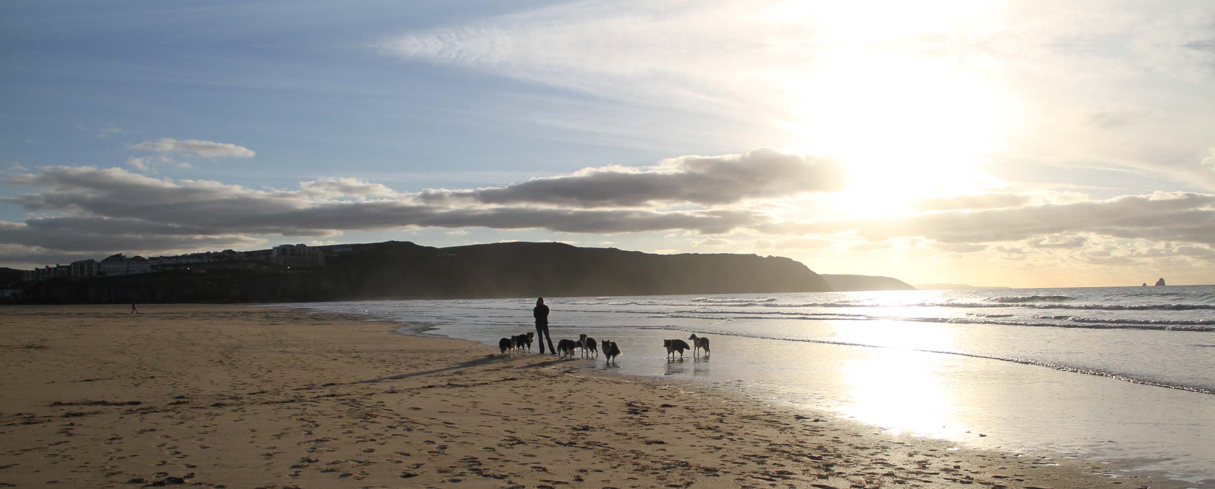 Alison Roets and her Freyasway Border Collie puppies in Reading