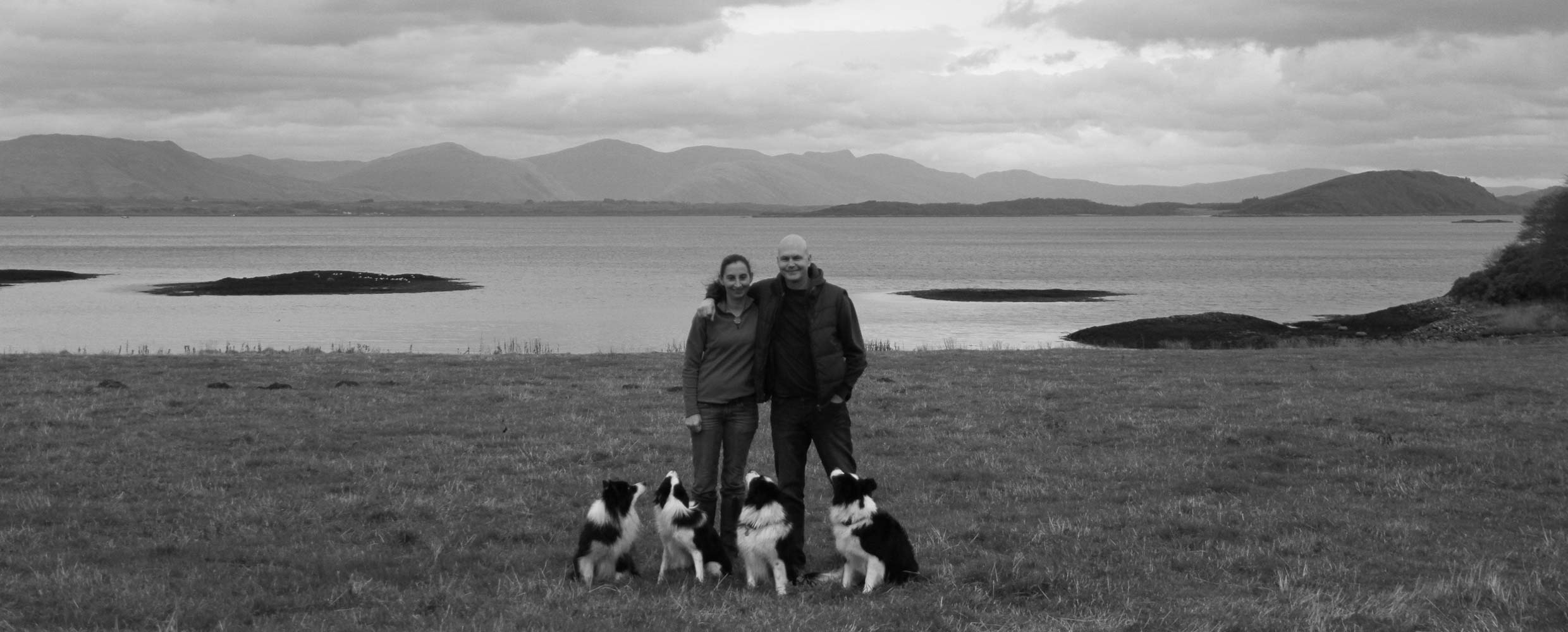 Alison Roets and her Freyasway Border Collie puppies in Reading