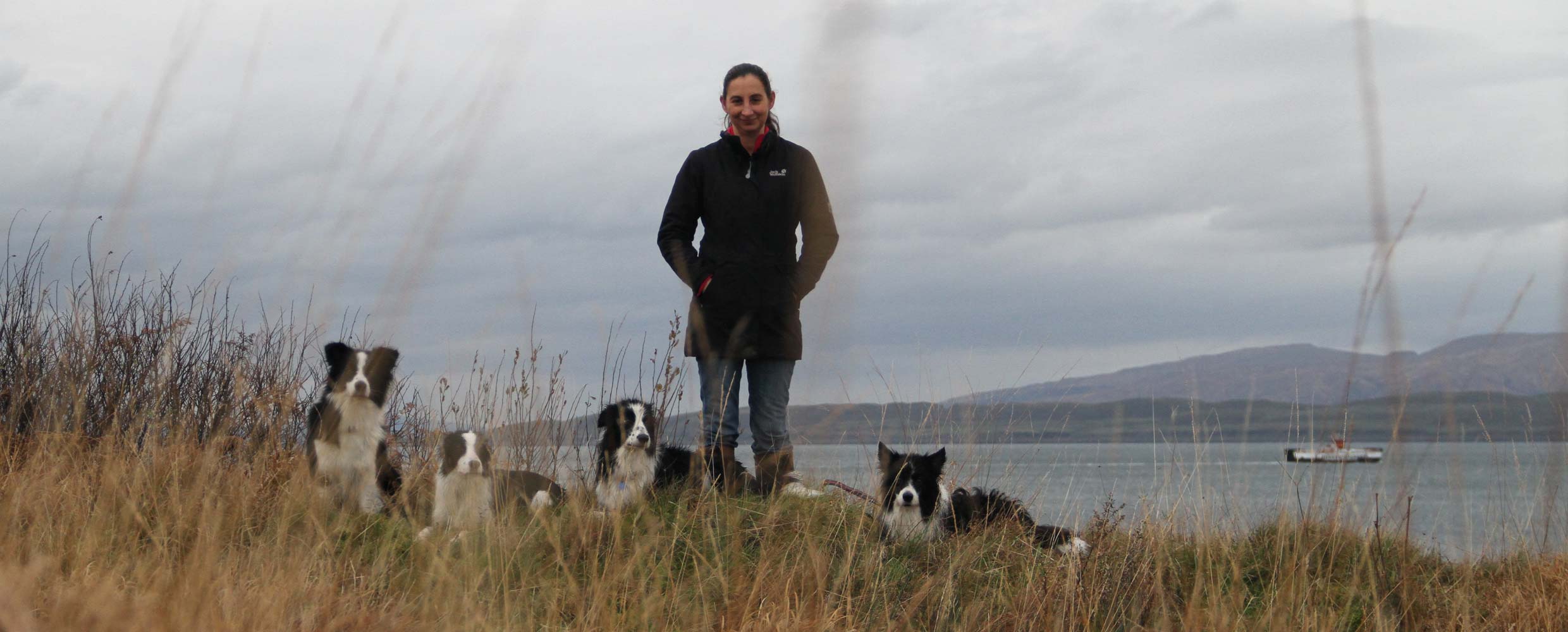 Alison Roets and her Freyasway Border Collie puppies in Reading