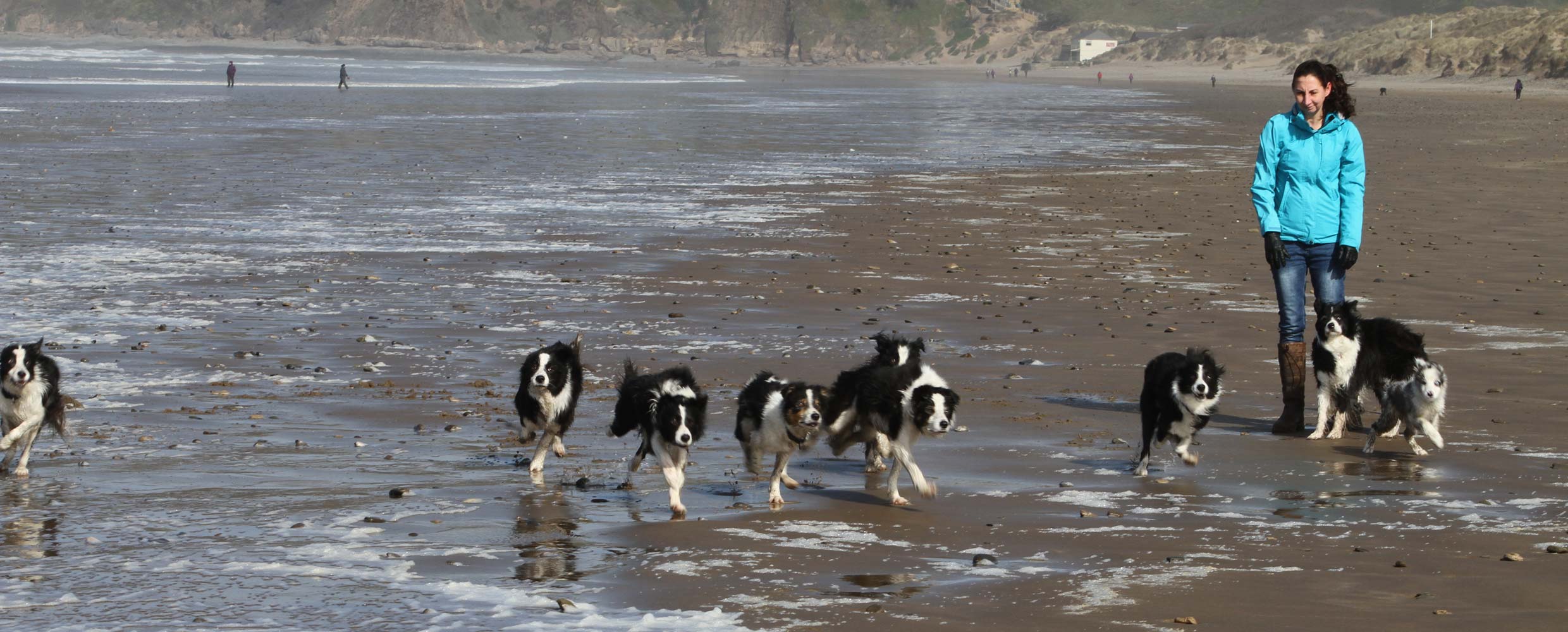 Alison Roets and her Freyasway Border Collie puppies in Reading